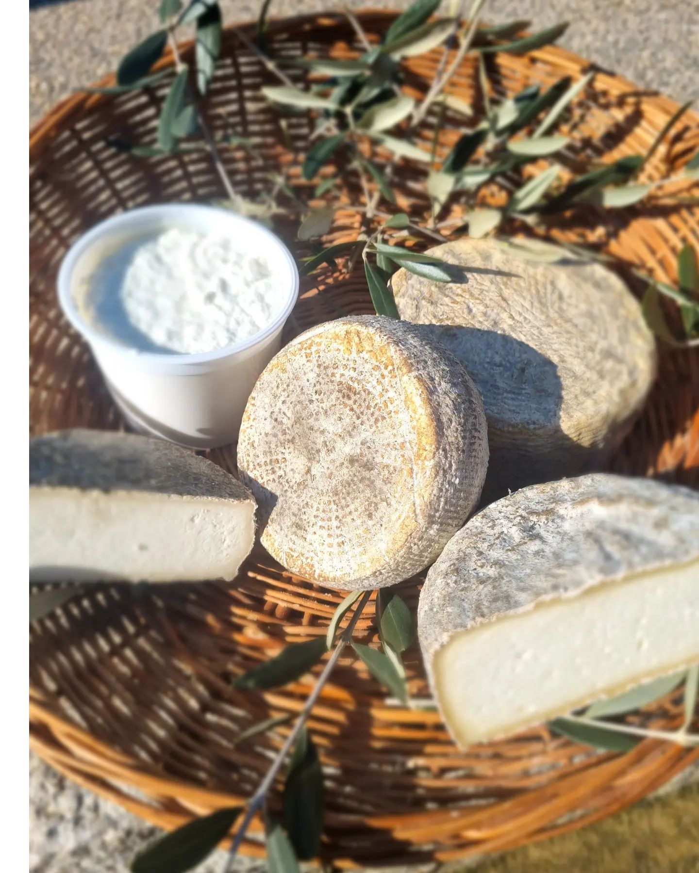Expériences Bières et Fromages corses - Magazine MORDU de la Terre à la ...
